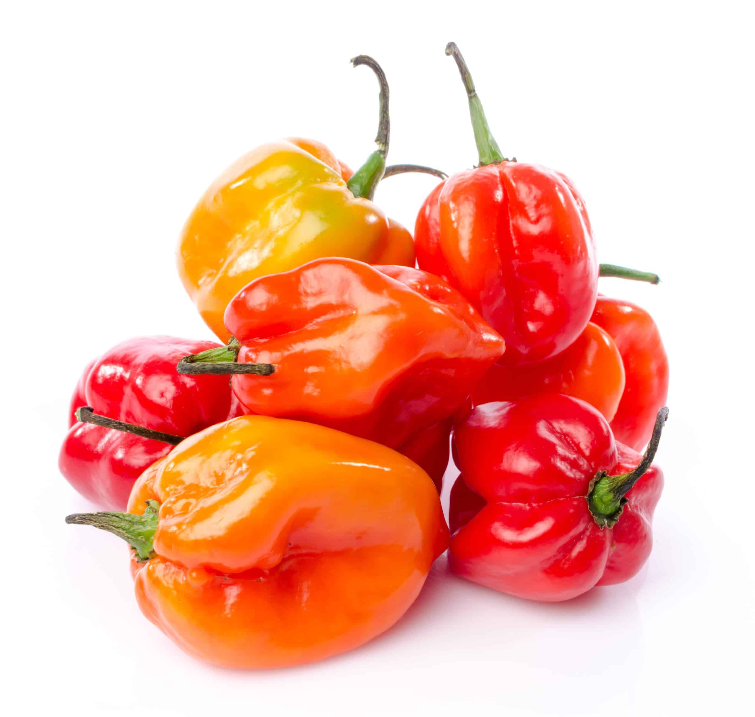 Habanero Peppers | Crystal Valley Foods | Growing Importing Distributing