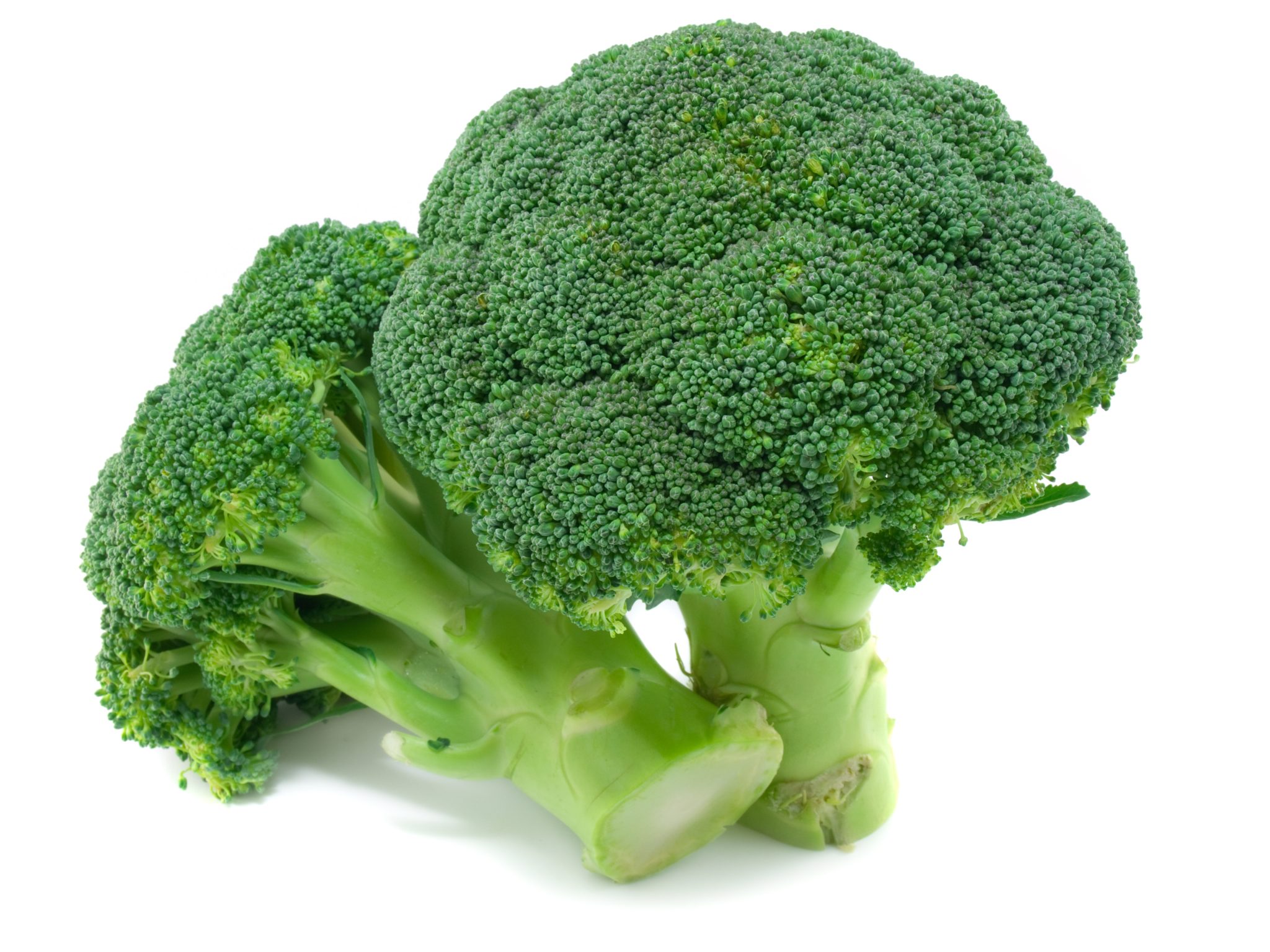 Broccoli - Crystal Valley Foods