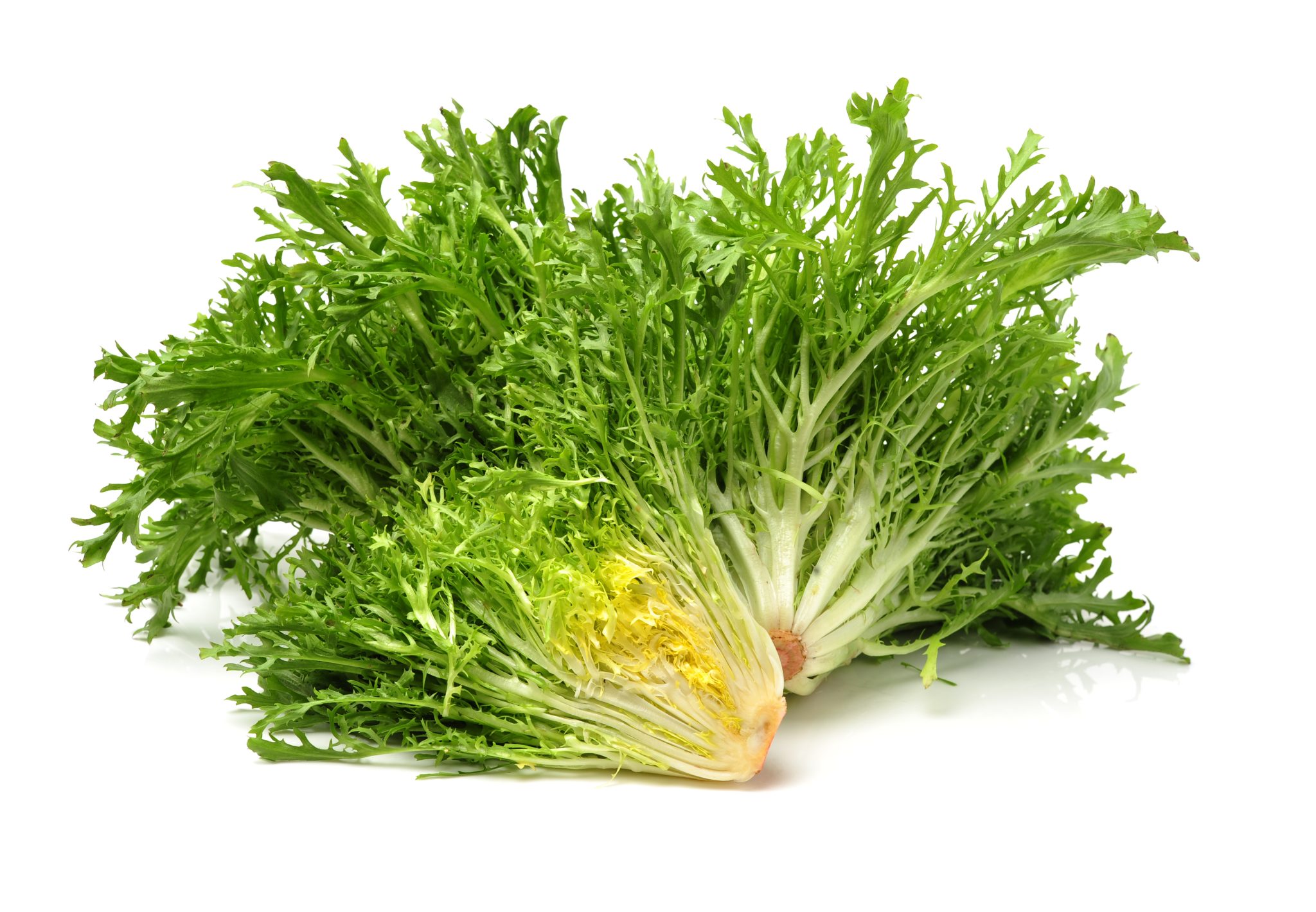 Frisée - Crystal Valley Foods